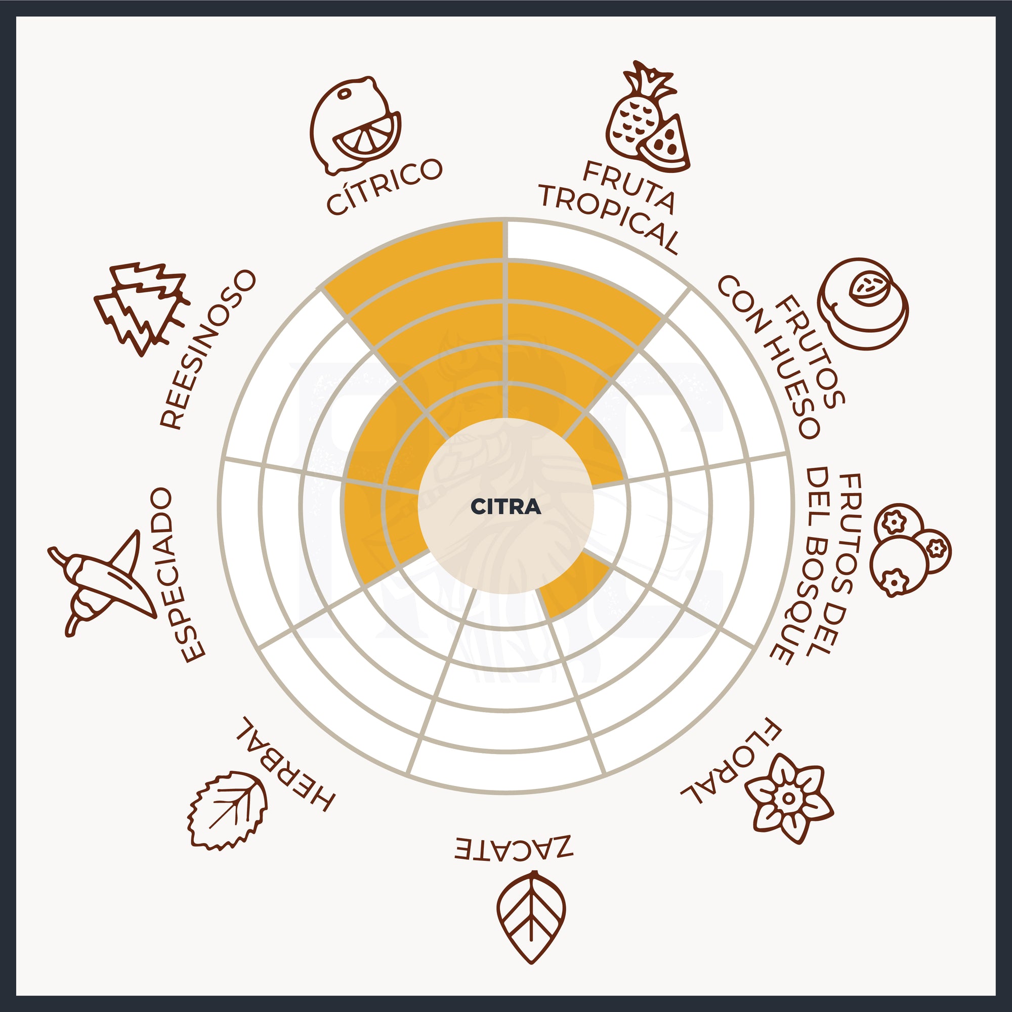 Lúpulo Citra® - Aromas de Cítricos, Frutas Tropicales y Mango ...