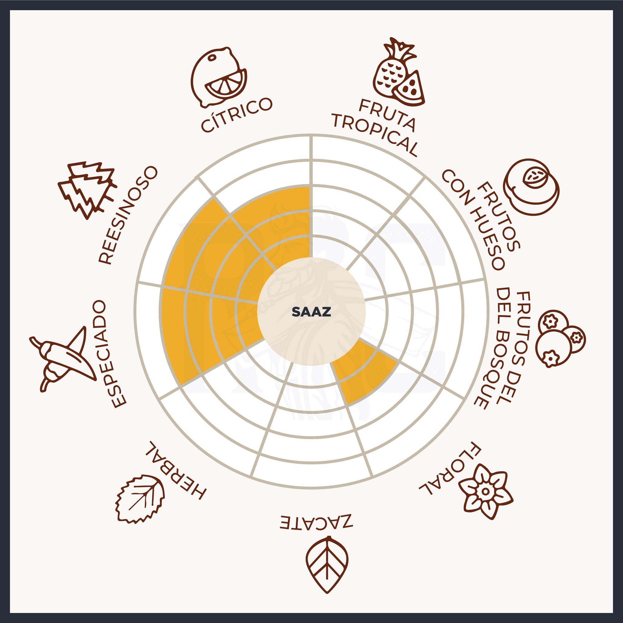 Lúpulo Saaz® - Aromas Suaves de Hierbas, Especias y Flores - República Cervecera